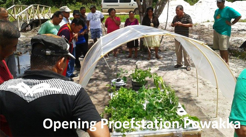 KRAKTI:IN 1 KEER 600 PLANTJES IN PRODUCTIE - United News