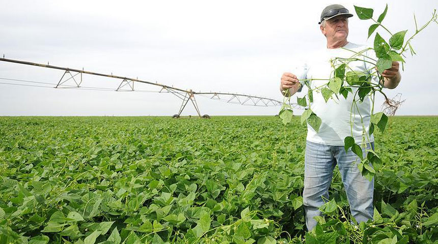 BRAZILIË WORDT GROOTSTE SOJAPRODUCENT TER WERELD - United News