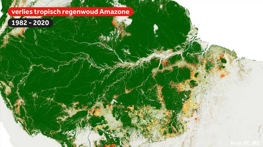 Kaart Van Het Amazone Regenwoud
